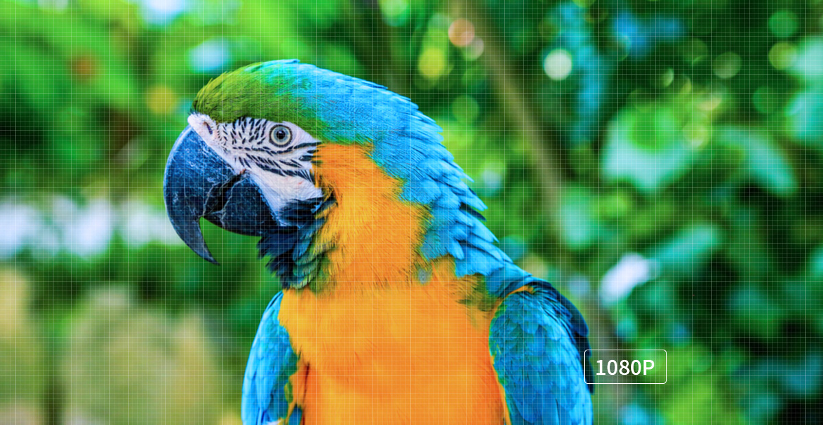 Kamvas Pro 16 Plus (4K) - HuionVietnam Co., Ltd.